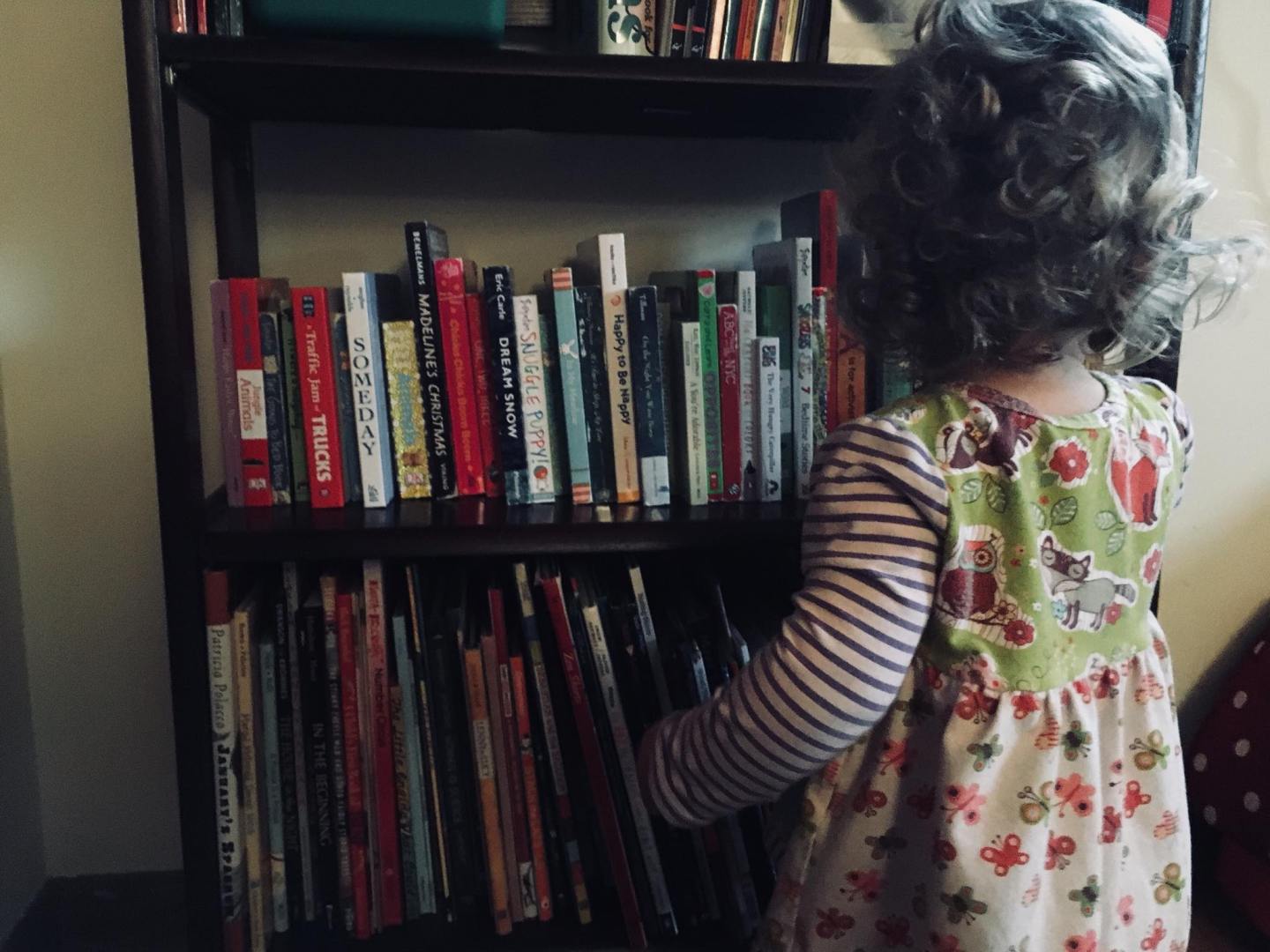 Early Childhood Literacy – Library Bonanza