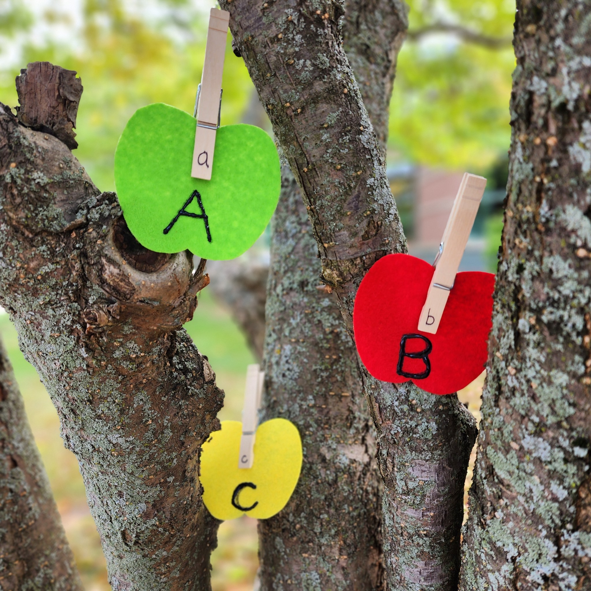 30 Easy Crafts for Babies & Toddlers – Library Bonanza